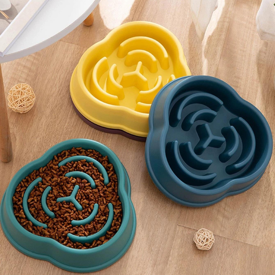 Pamper Your Pet with Our High-Quality Products | Shop at Our pet store ...